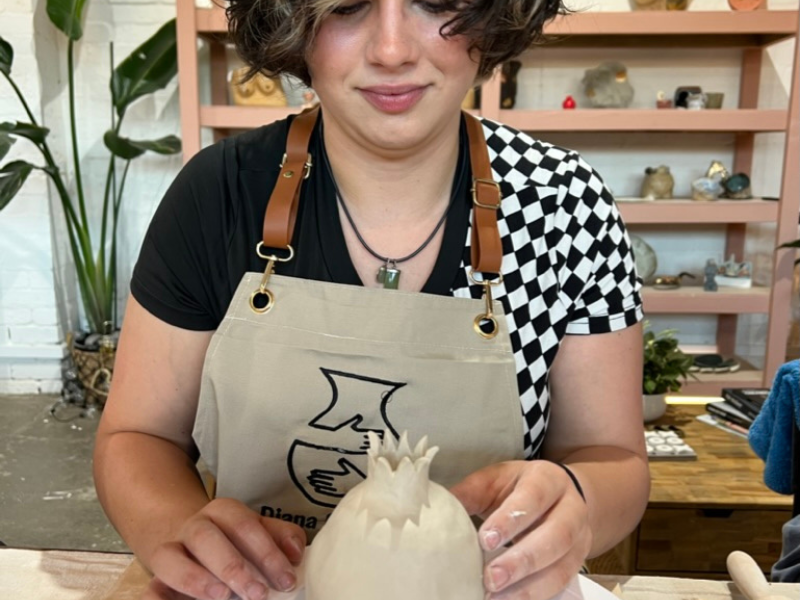 What’s the Best Way to Learn Ceramics Quickly? - Diana Ceramic